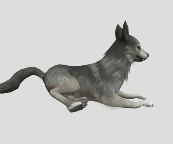 ArtStation - Wolf-1-04 | Game Assets
