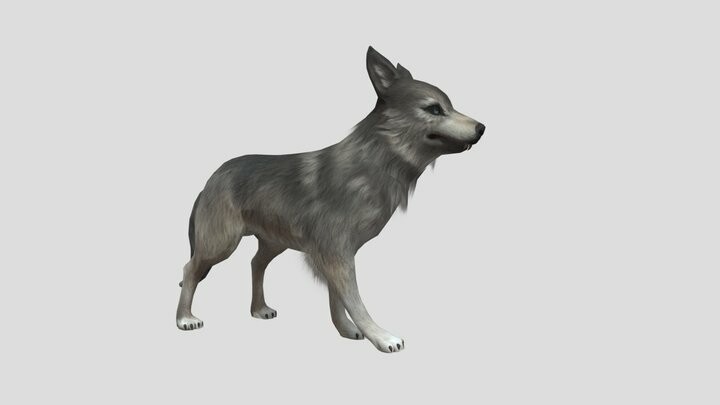 ArtStation - Wolf-1-07 | Game Assets
