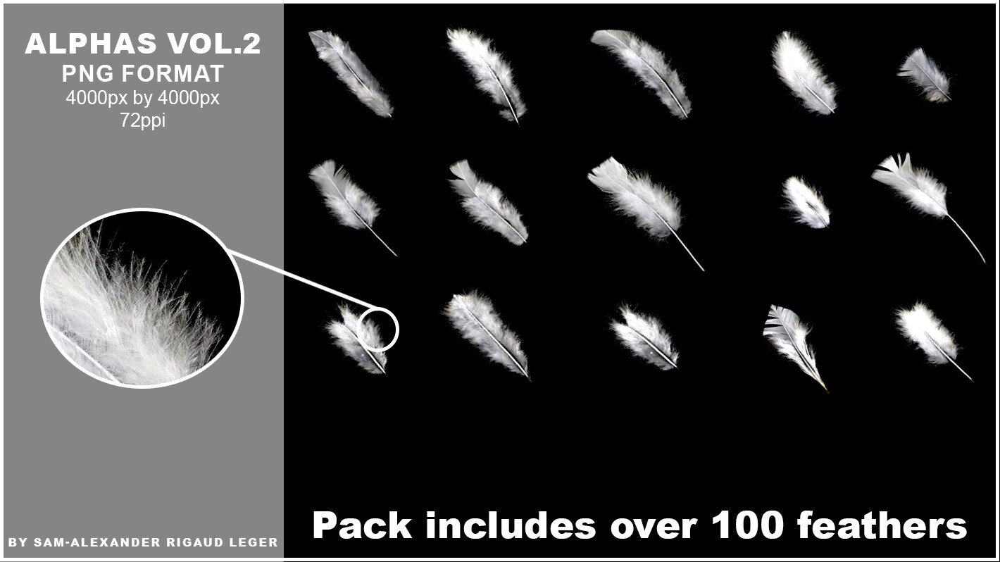 ArtStation - Feathers Alphas Vol.2 | Resources