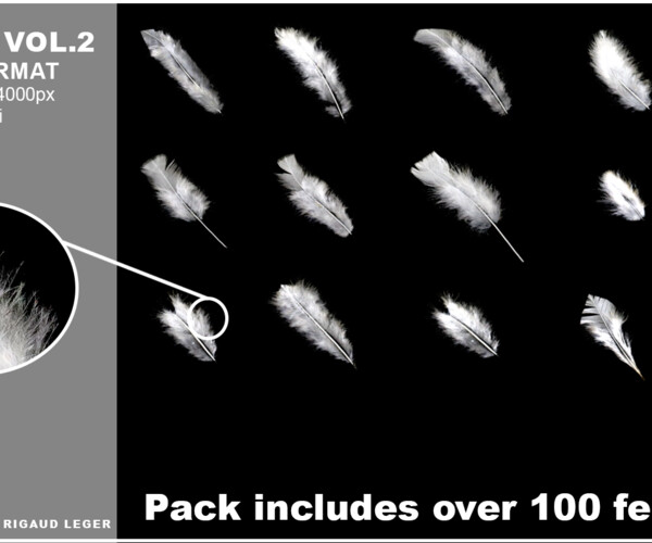 ArtStation - Feathers Alphas Vol.2 | Resources