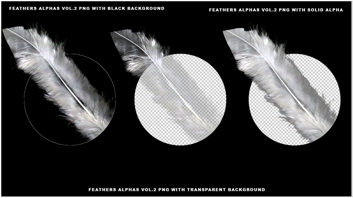 ArtStation - Feathers Alphas Vol.2 | Resources