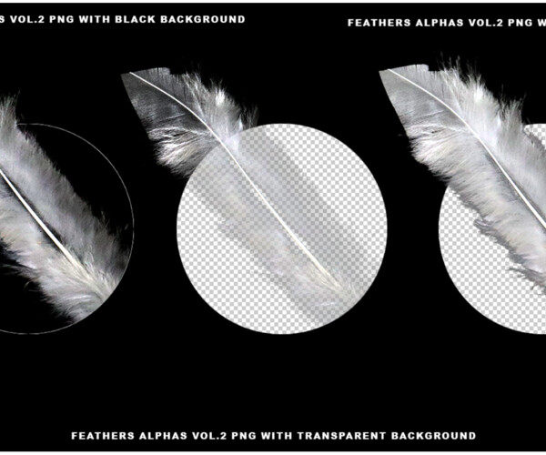 ArtStation - Feathers Alphas Vol.2 | Resources