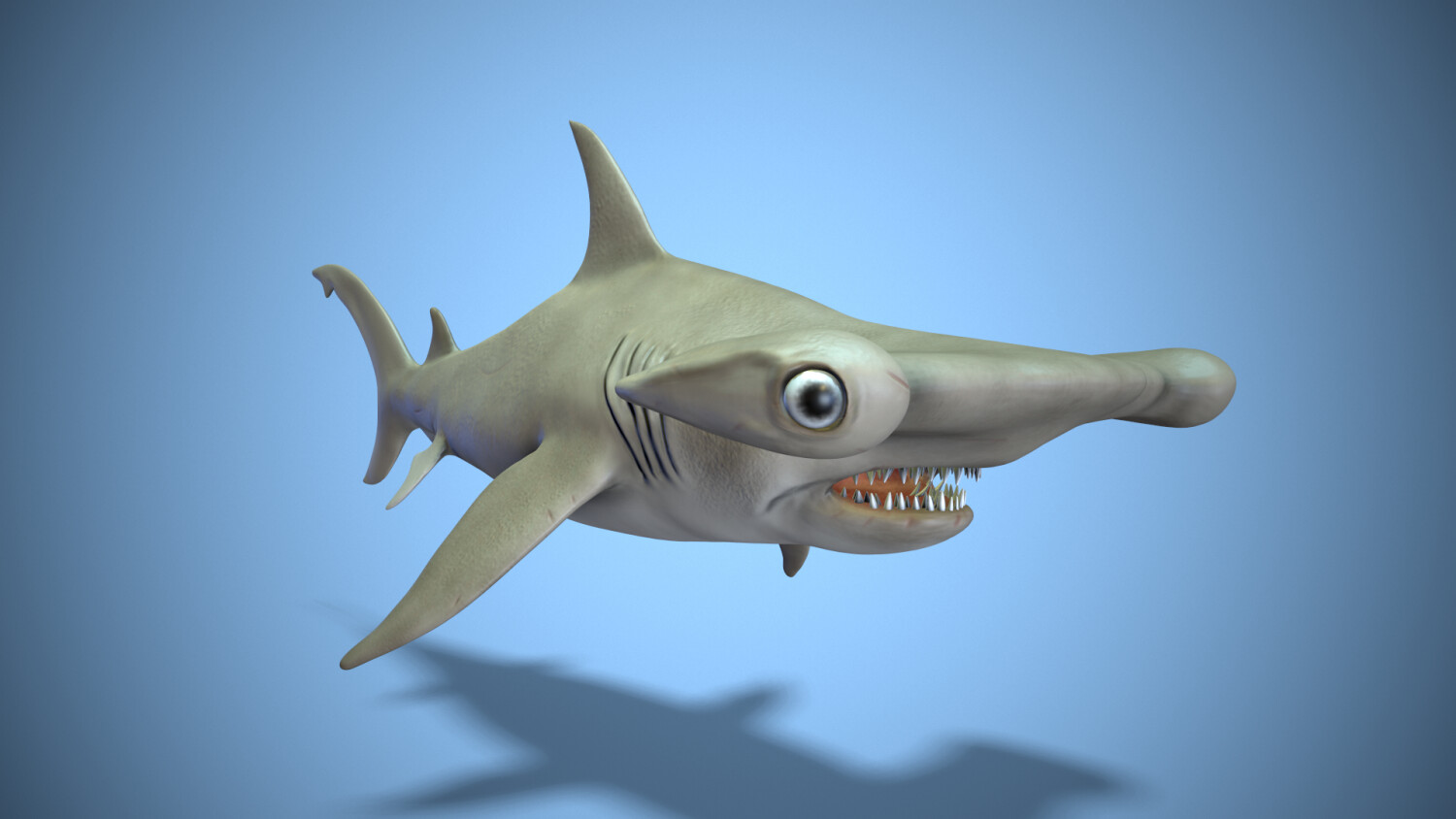 ArtStation - hammerhead shark | Game Assets