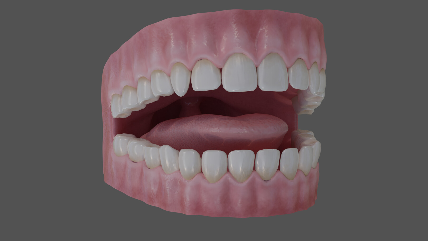 ArtStation - Human Teeth | Game Assets