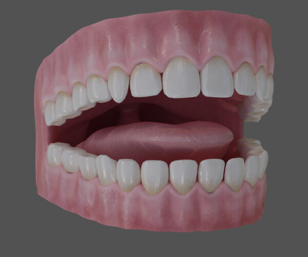 ArtStation - Human Teeth | Game Assets