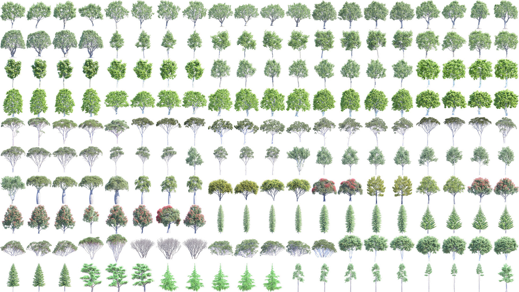 ArtStation - tree cutout png 4k & psd (Alder, Maple, Weeping willow ...