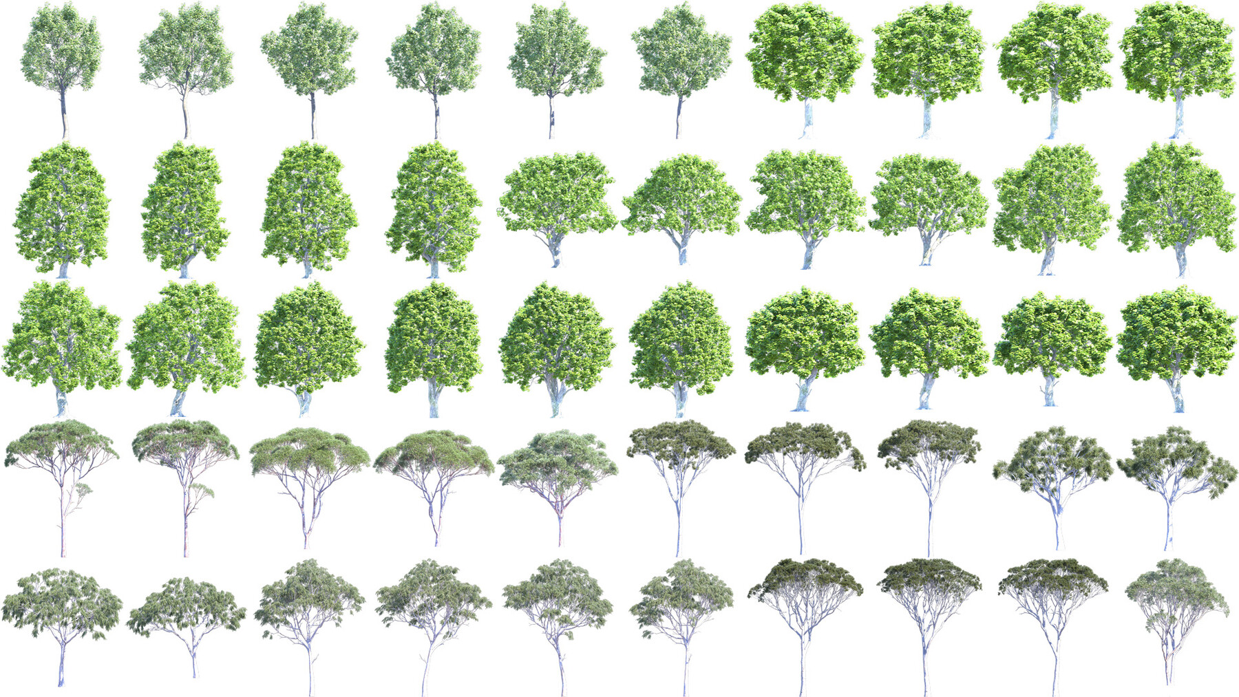 ArtStation - tree cutout png 4k & psd (Alder, Maple, Weeping willow ...