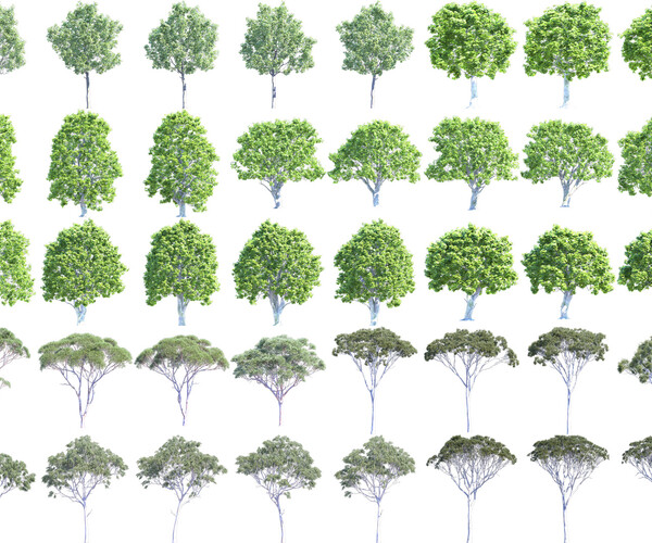 ArtStation - tree cutout png 4k & psd (Alder, Maple, Weeping willow ...
