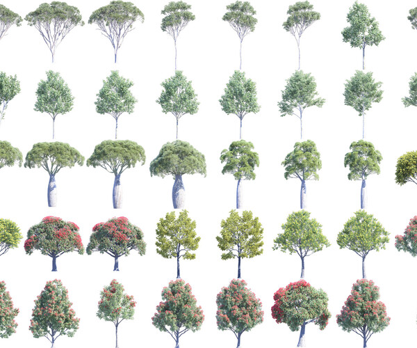 ArtStation - tree cutout png 4k & psd (Alder, Maple, Weeping willow ...