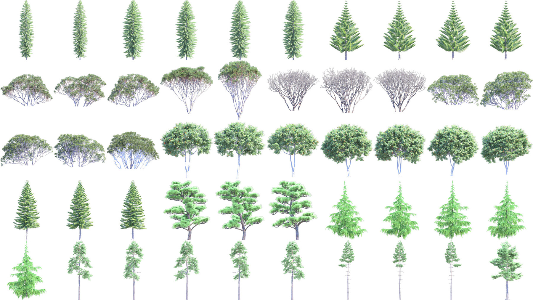 ArtStation - tree cutout png 4k & psd (Alder, Maple, Weeping willow ...