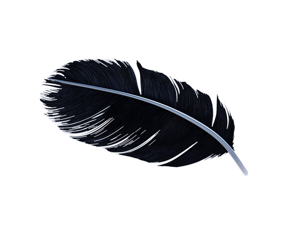 ArtStation - Crow Feather | Resources
