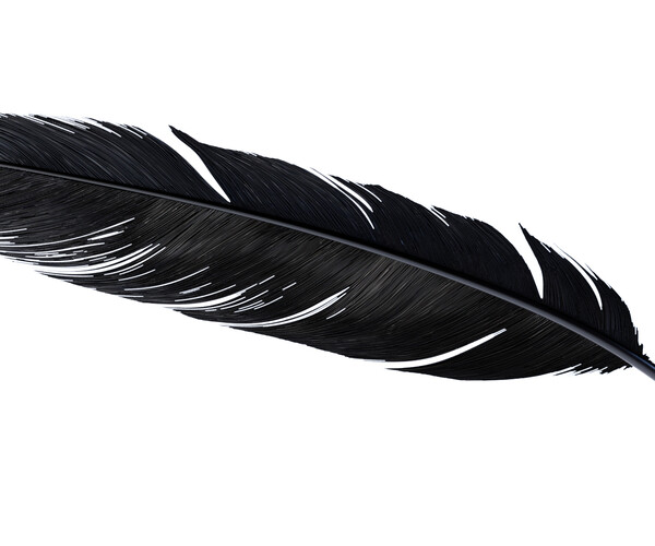 ArtStation - Crow Feather | Resources