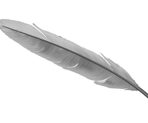 ArtStation - Crow Feather | Resources