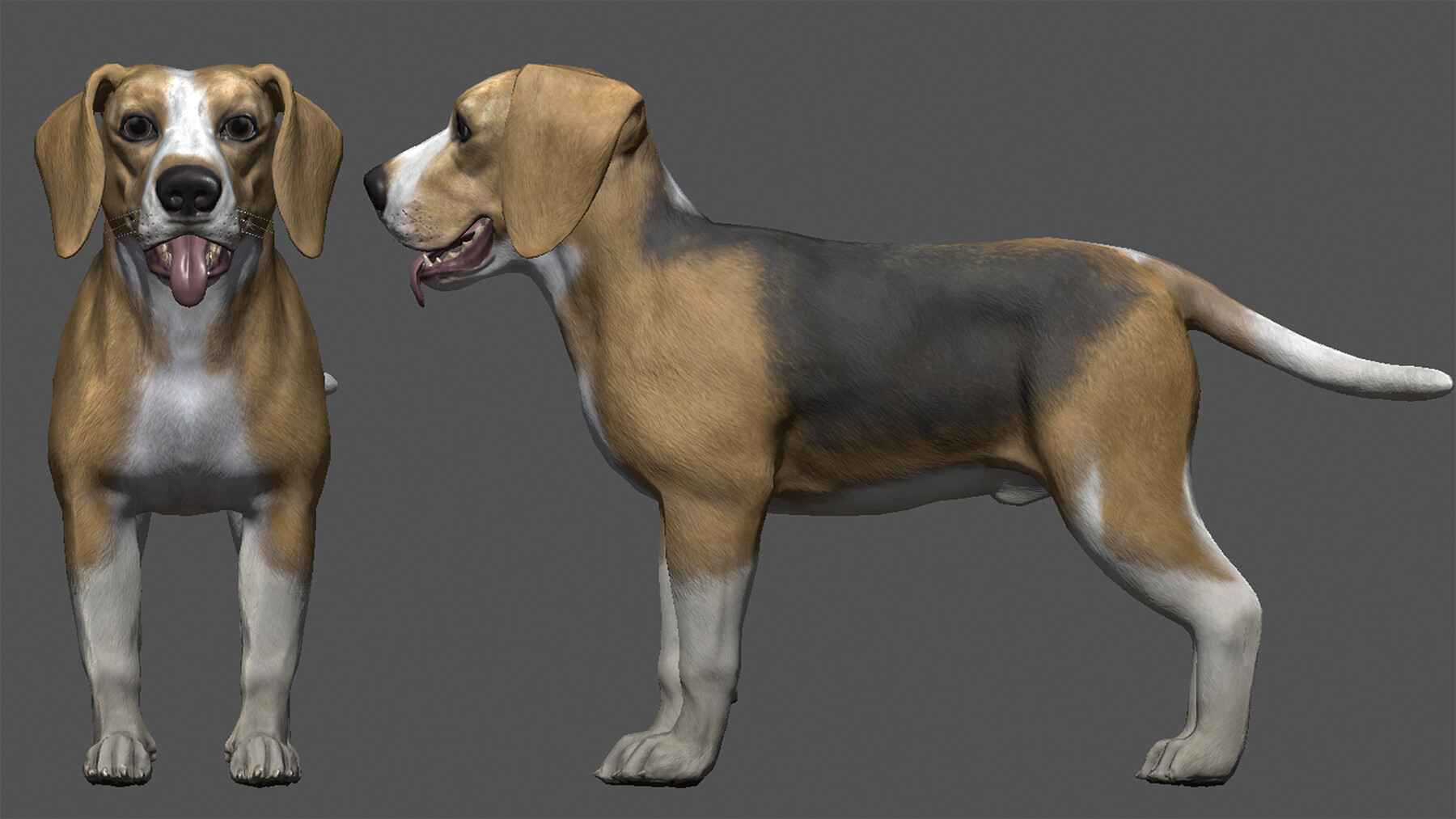 ArtStation - Dog - Beagle | Game Assets