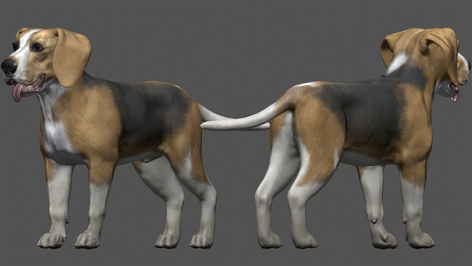ArtStation - Dog - Beagle | Game Assets