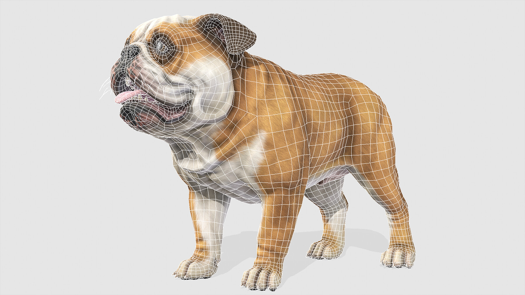 ArtStation - Dog - Bulldog | Game Assets