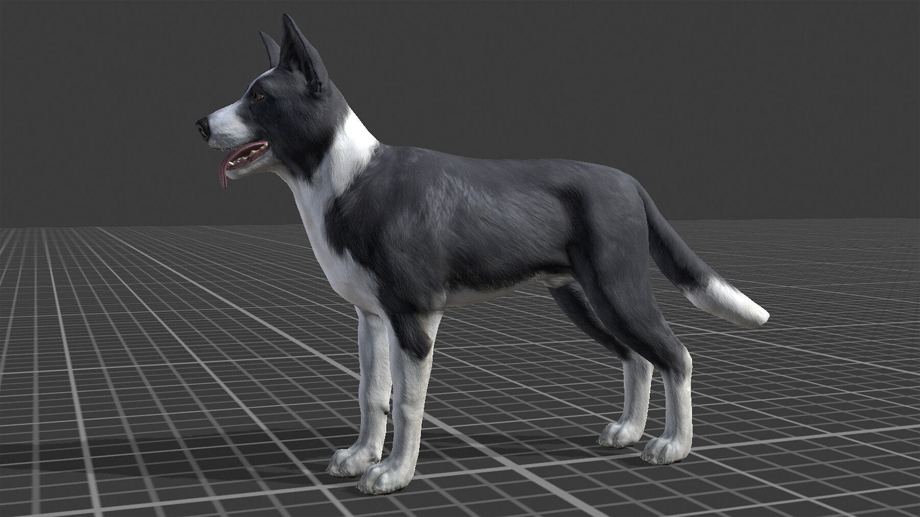 ArtStation - Dog - Border Collie | Game Assets