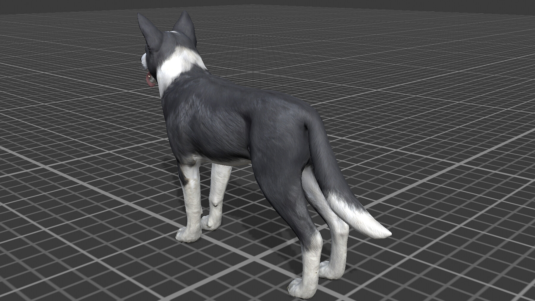 ArtStation - Dog - Border Collie | Game Assets