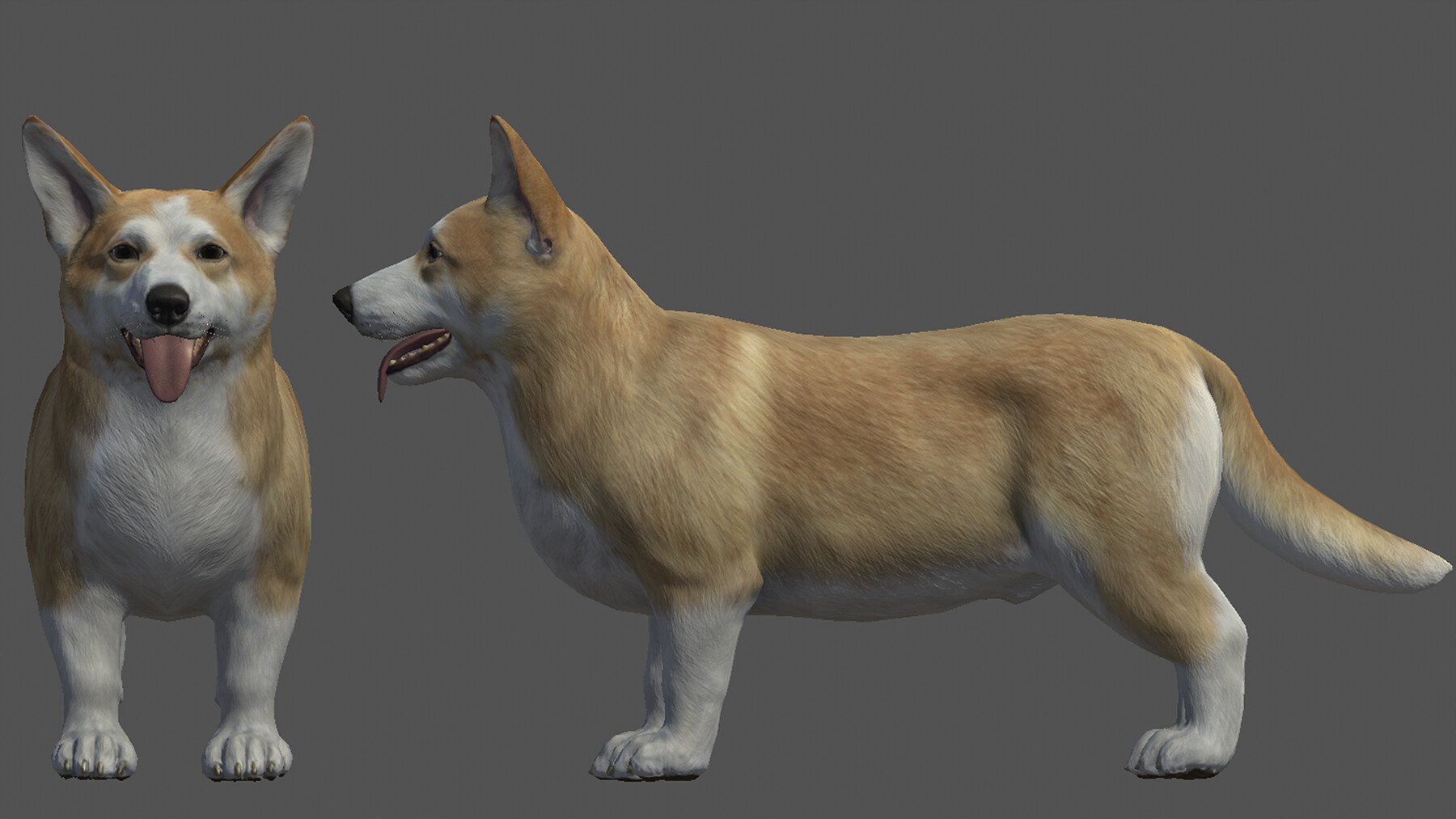 ArtStation - Dog - Corgi | Game Assets