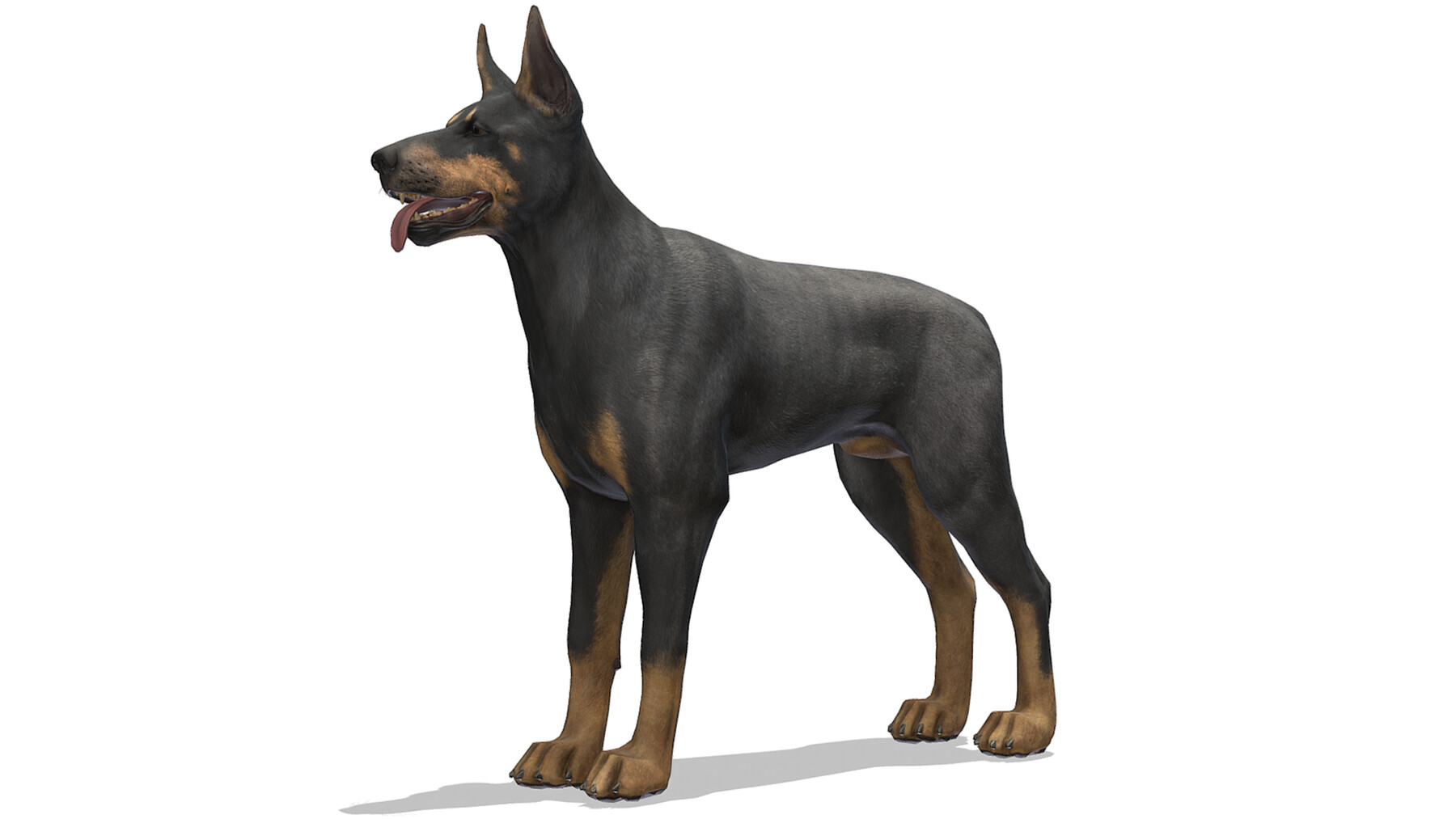 ArtStation - Dog - Doberman | Game Assets