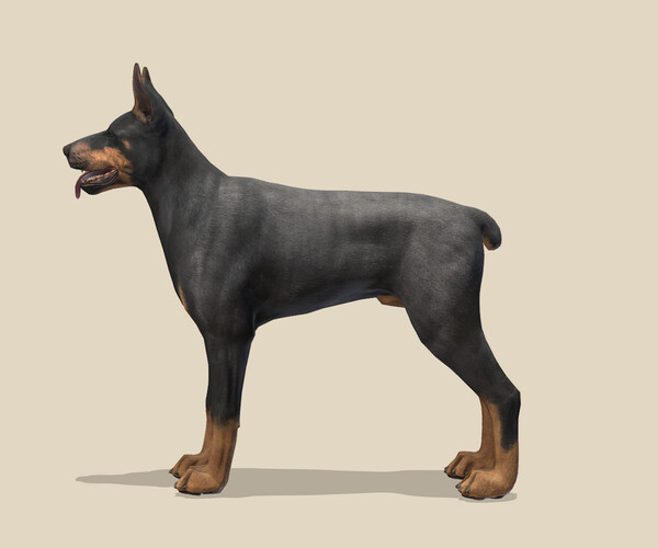ArtStation - Dog - Doberman | Game Assets