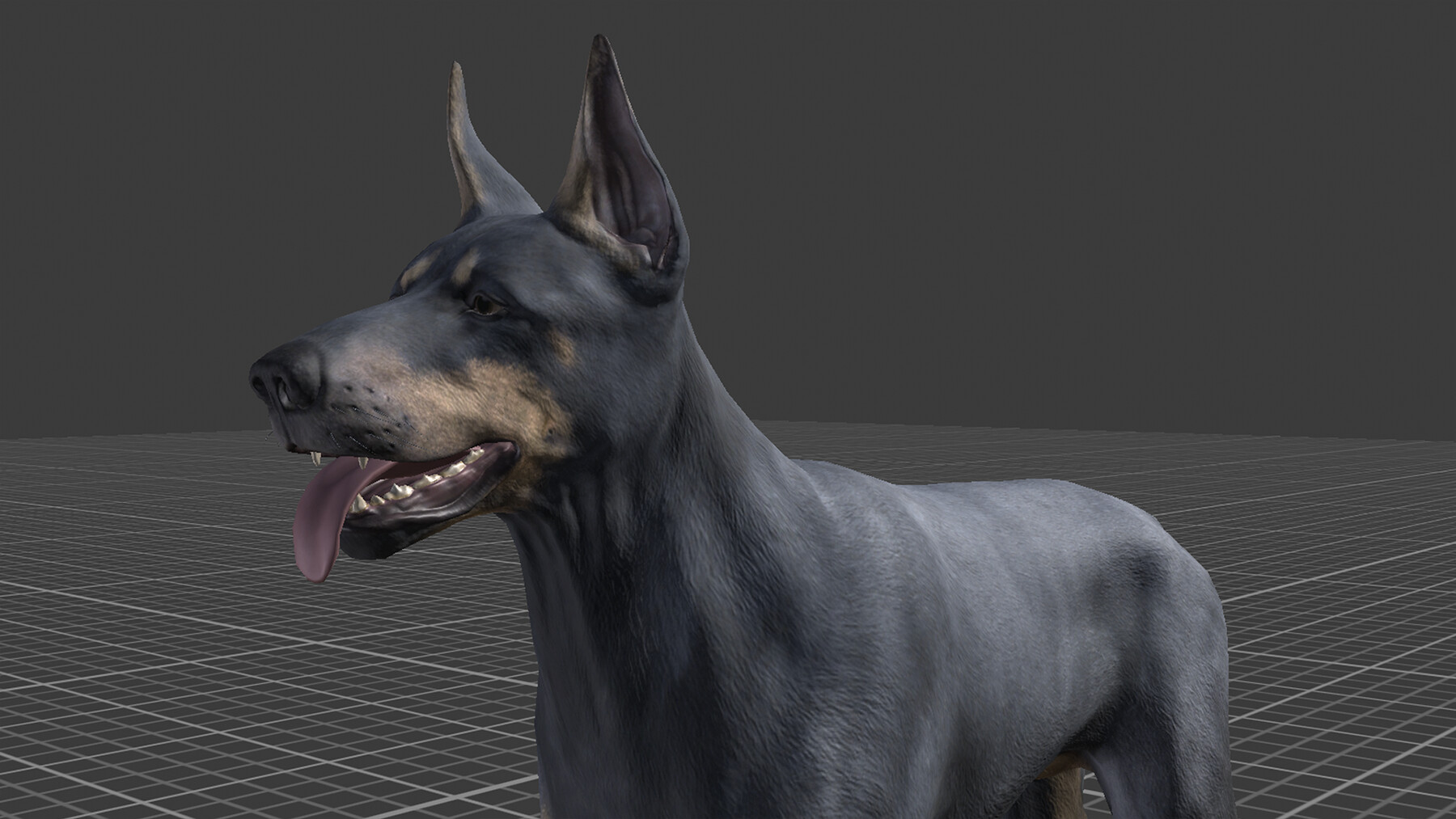 ArtStation - Dog - Doberman | Game Assets