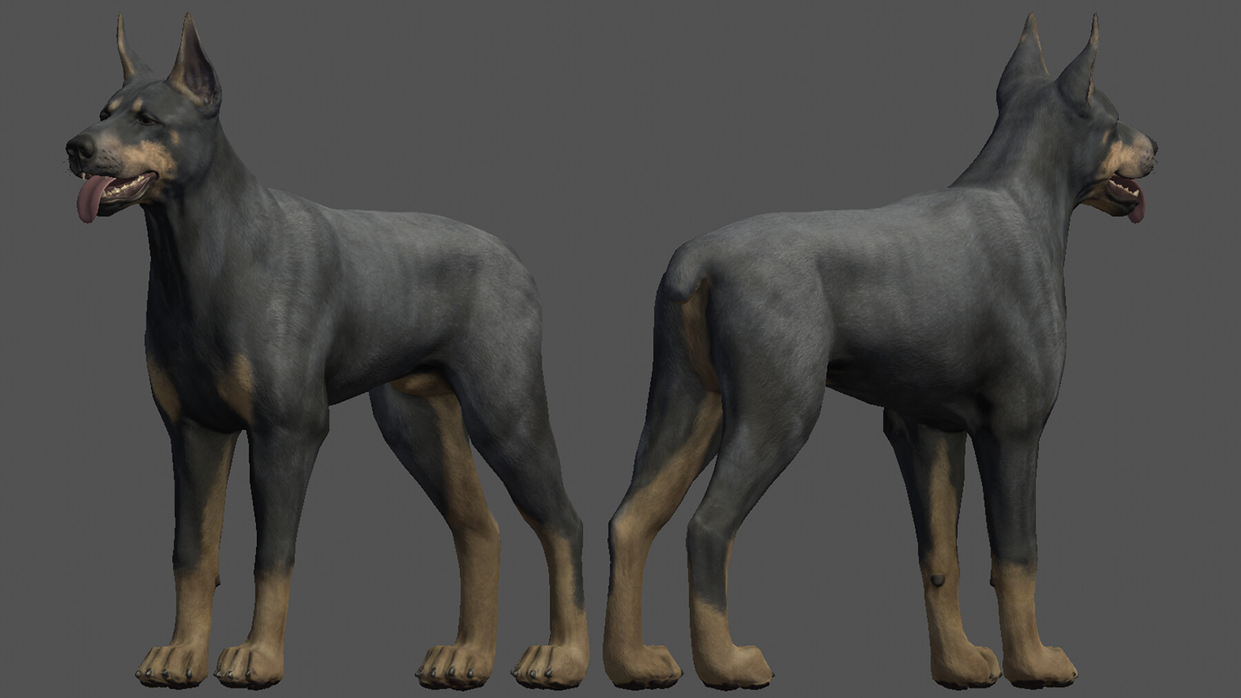 ArtStation - Dog - Doberman | Game Assets