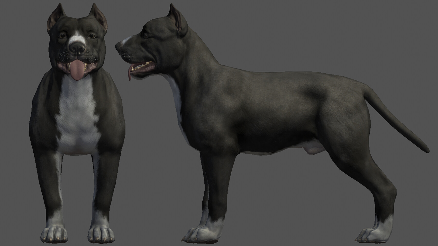 ArtStation - Dog - Pitbull | Game Assets