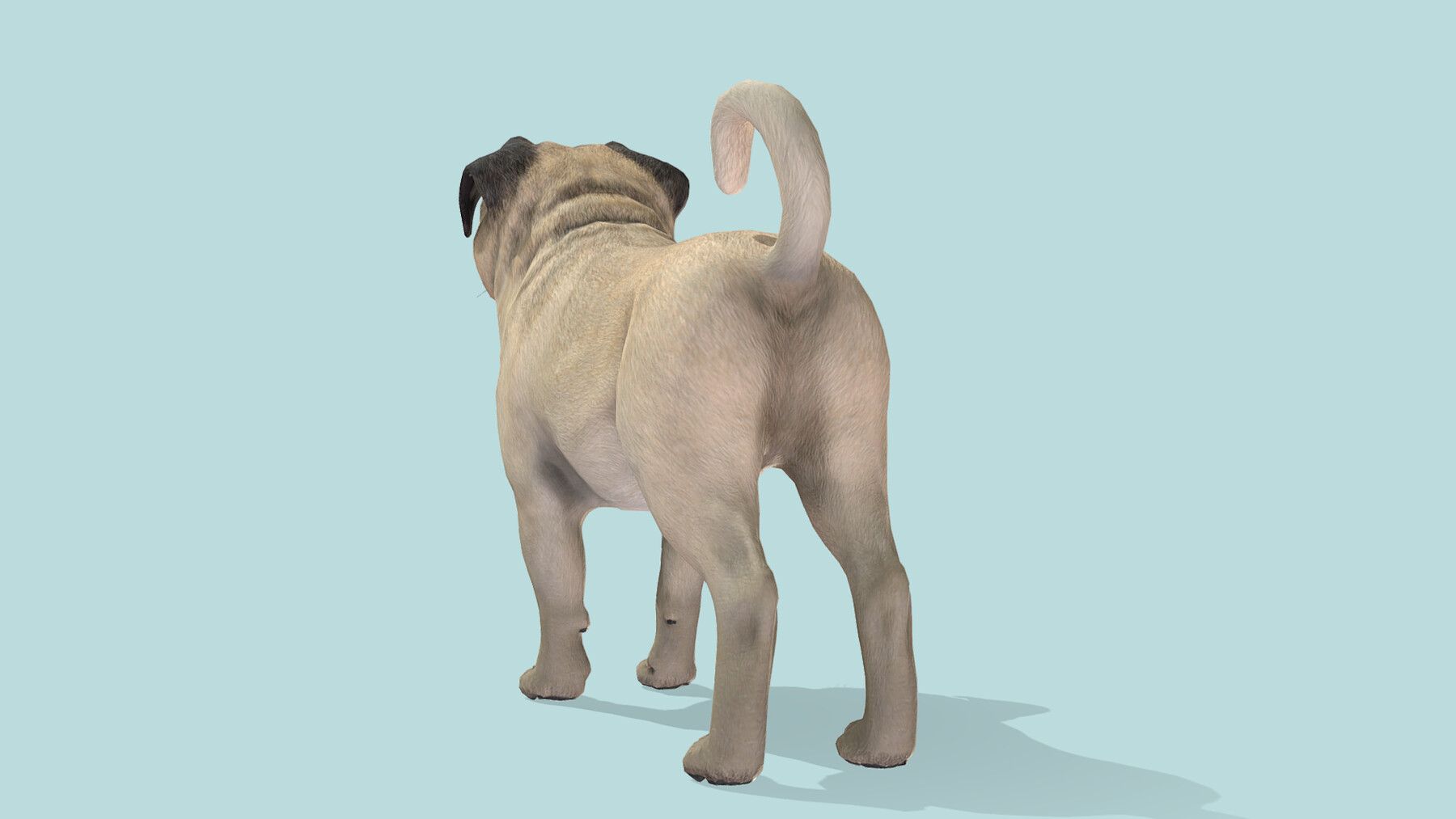 ArtStation - Dog - Pug | Game Assets