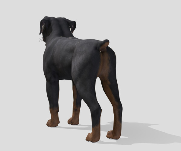 ArtStation - Dog - Rottweiler | Game Assets