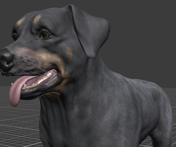 ArtStation - Dog - Rottweiler | Game Assets