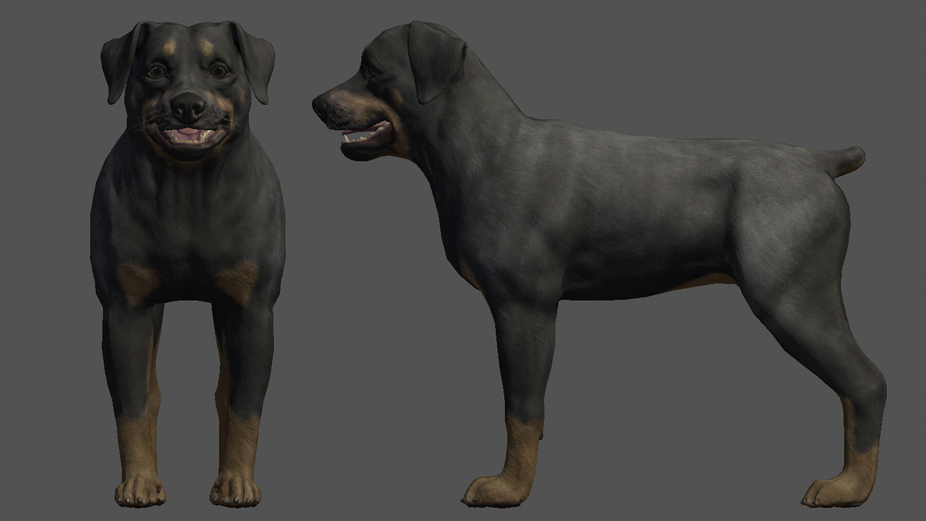 ArtStation - Dog - Rottweiler | Game Assets