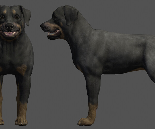 ArtStation - Dog - Rottweiler | Game Assets