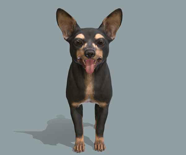 ArtStation - Dog - Toy Terrier | Game Assets