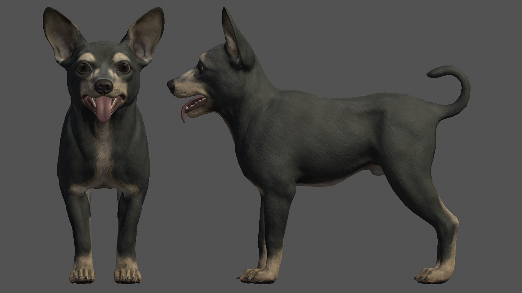ArtStation - Dog - Toy Terrier | Game Assets