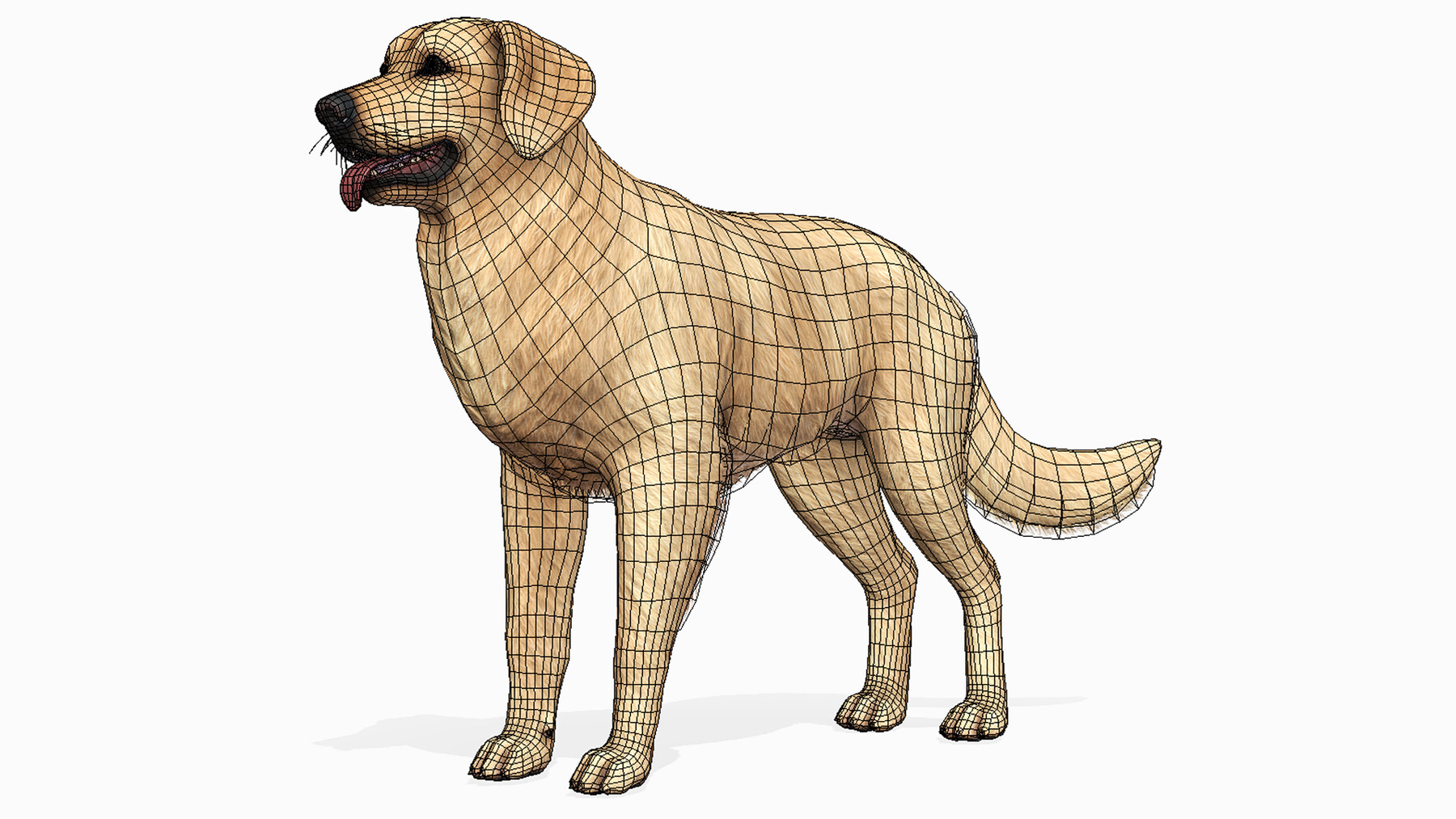 ArtStation - Dog - Golden Retriever | Game Assets