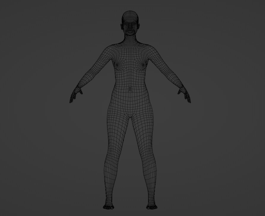 ArtStation - Female base mesh (rigged) | Resources