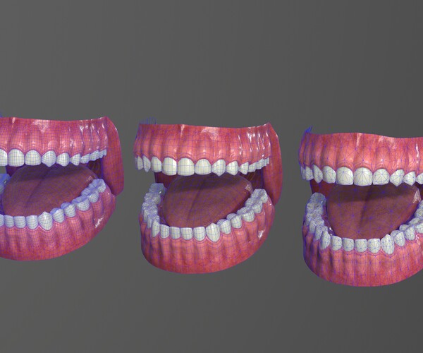ArtStation - Human Teeth Model | Game Assets