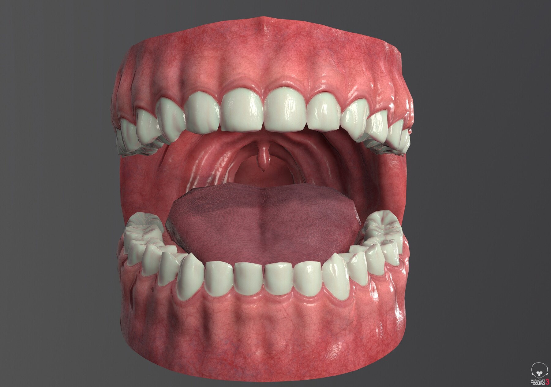 ArtStation - Human Teeth Model | Game Assets