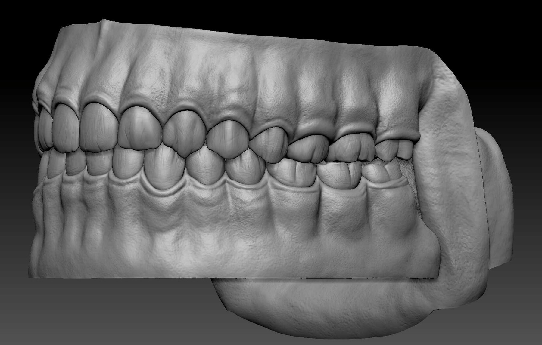 ArtStation - Human Teeth Model | Game Assets