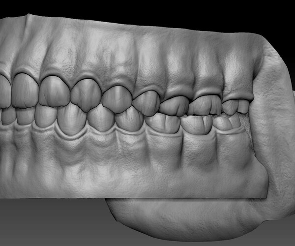 ArtStation - Human Teeth Model | Game Assets