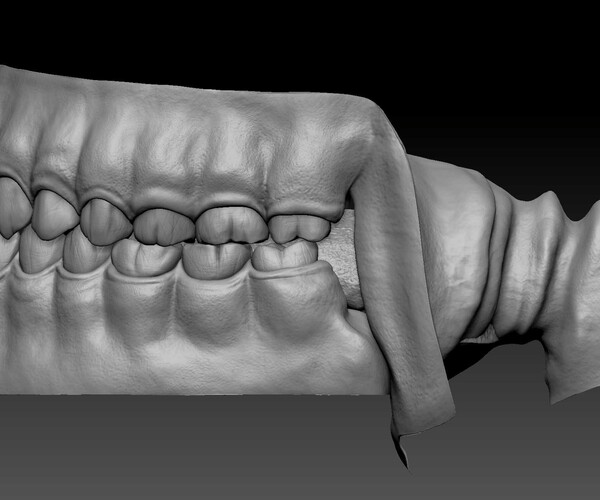 ArtStation - Human Teeth Model | Game Assets