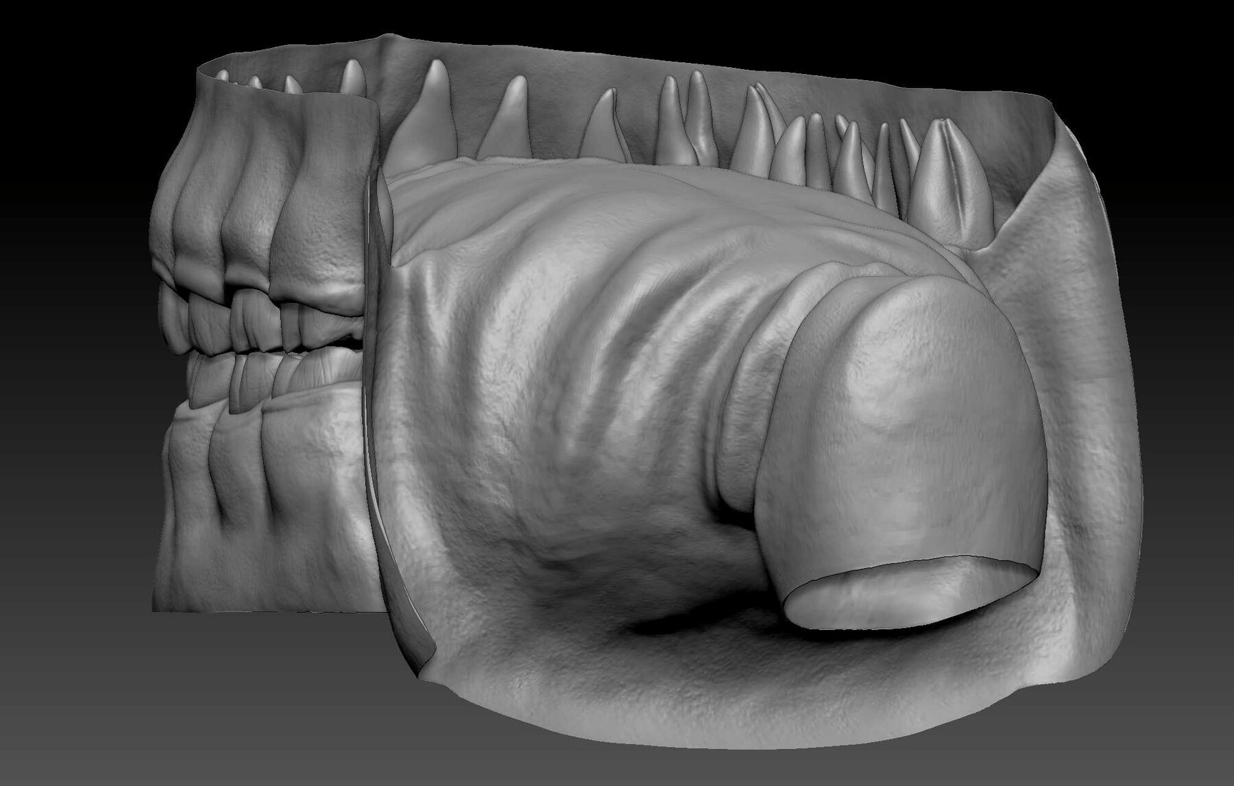 ArtStation - Human Teeth Model | Game Assets