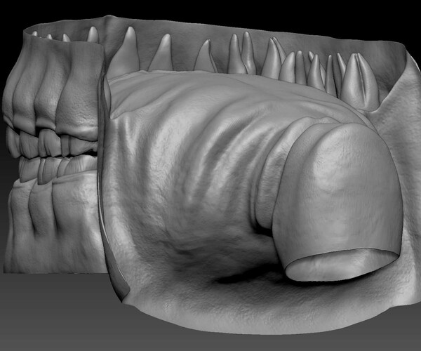 ArtStation - Human Teeth Model | Game Assets