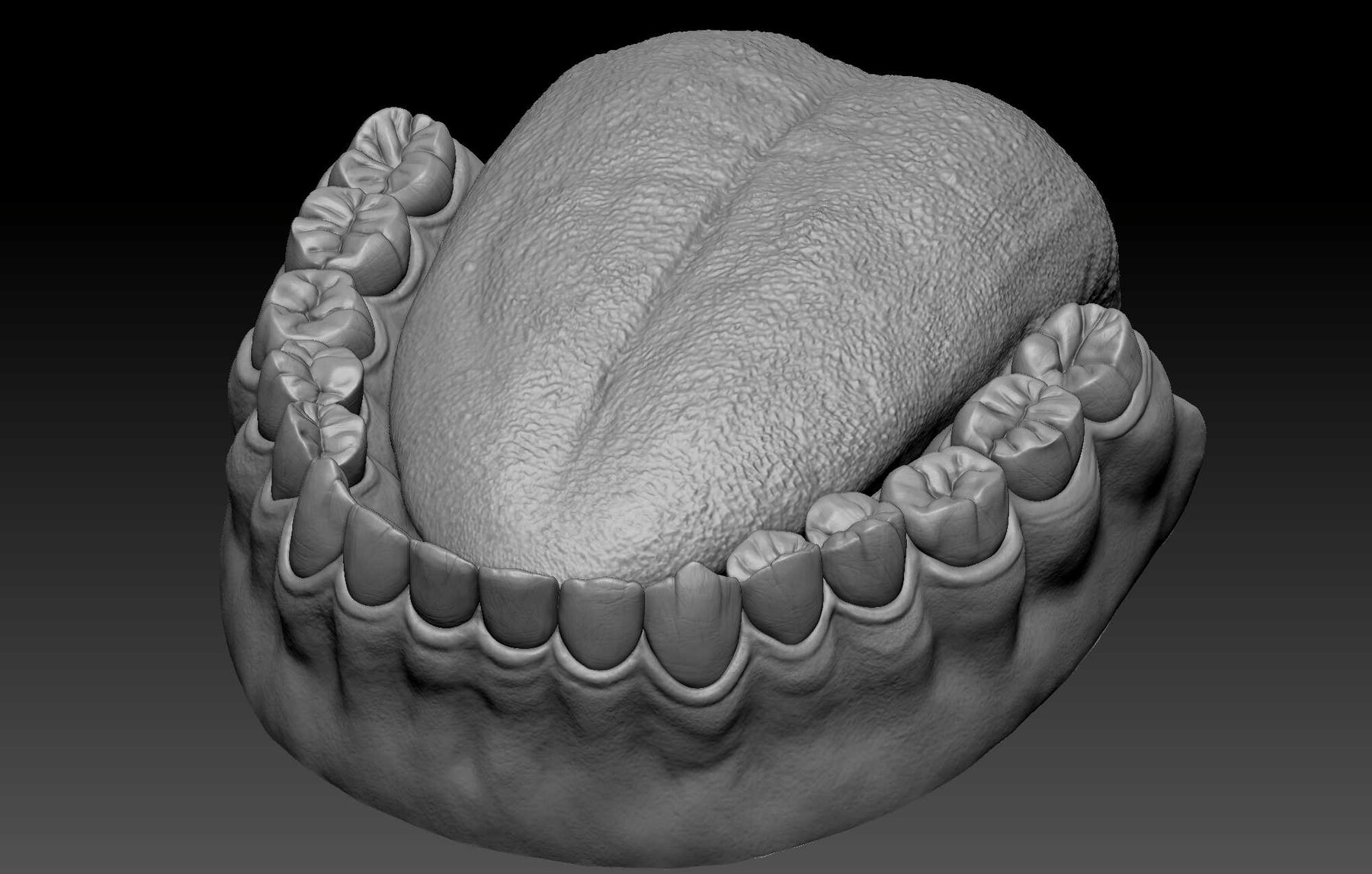 ArtStation - Human Teeth Model | Game Assets