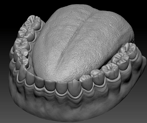 ArtStation - Human Teeth Model | Game Assets