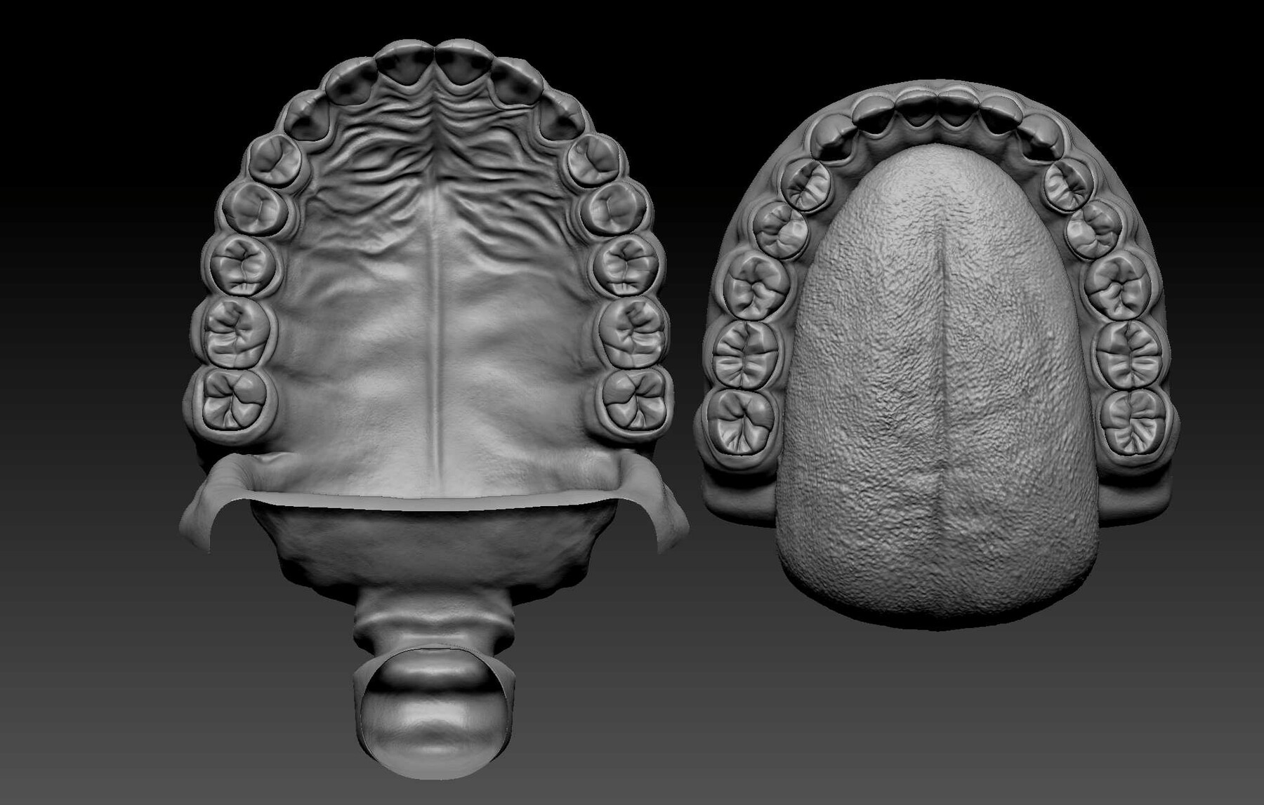 ArtStation - Human Teeth Model | Game Assets