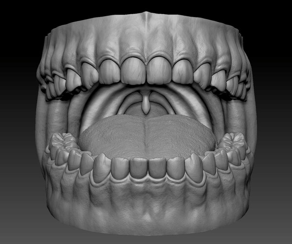 ArtStation - Human Teeth Model | Game Assets