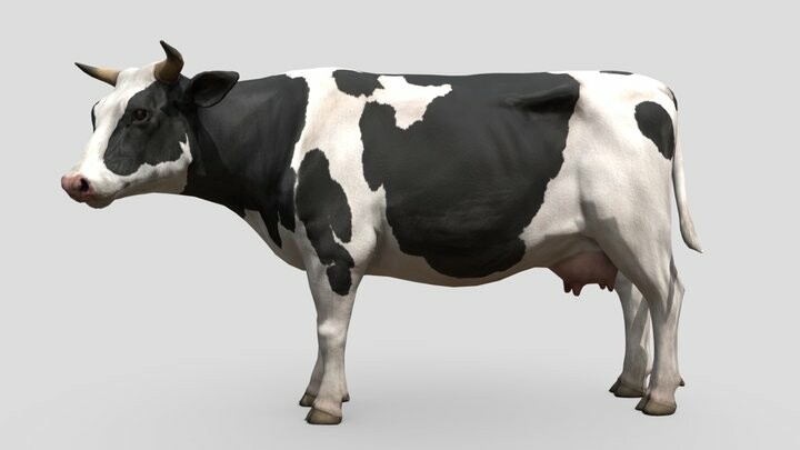 ArtStation - Cow | Game Assets