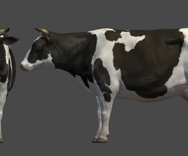 ArtStation - Cow | Game Assets